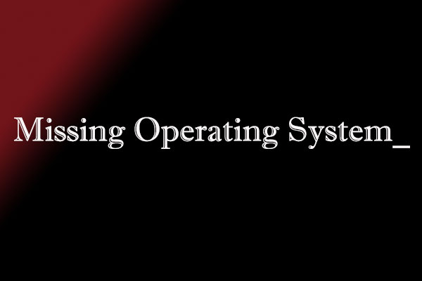 「Missing Operating System」エラーが発生する時の解決案