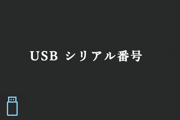USBメモリのシリアル番号はどこ？変更する方法は？